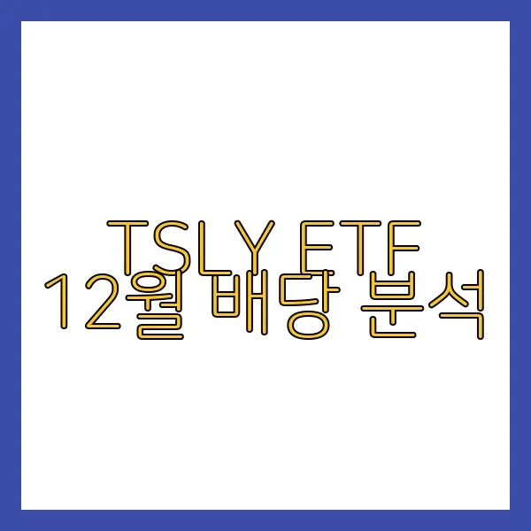 TSLY ETF 12월 배당 분석