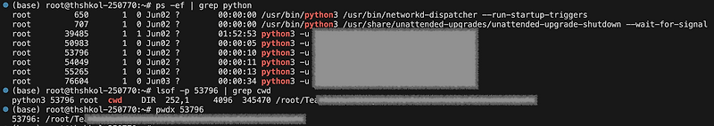 [ubuntu] PID로 실행중인 파일 위치 찾기 — 끄적끄적