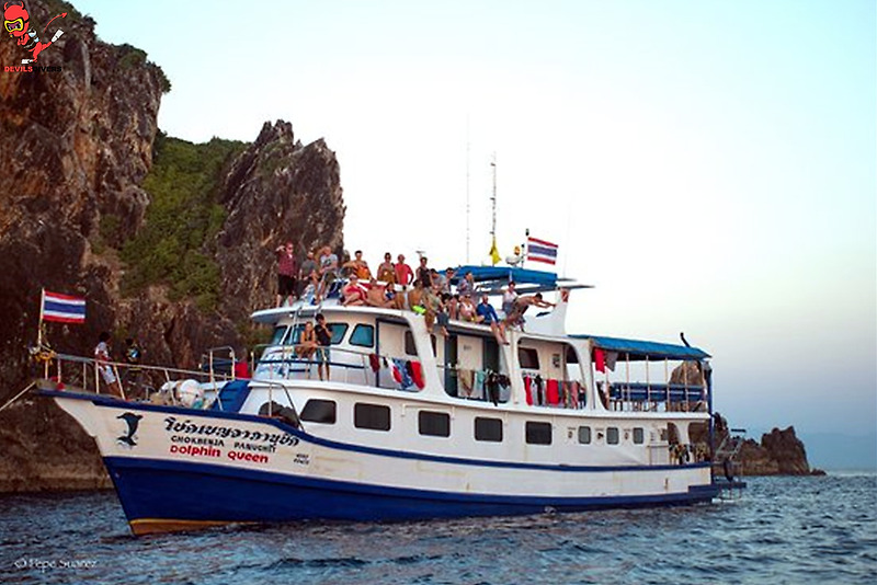 Phuket Scubadiving Similan Liveaboard DOLPHIN QUEEN LIVEABORD with Devilsdivers and Thai Liveaboard