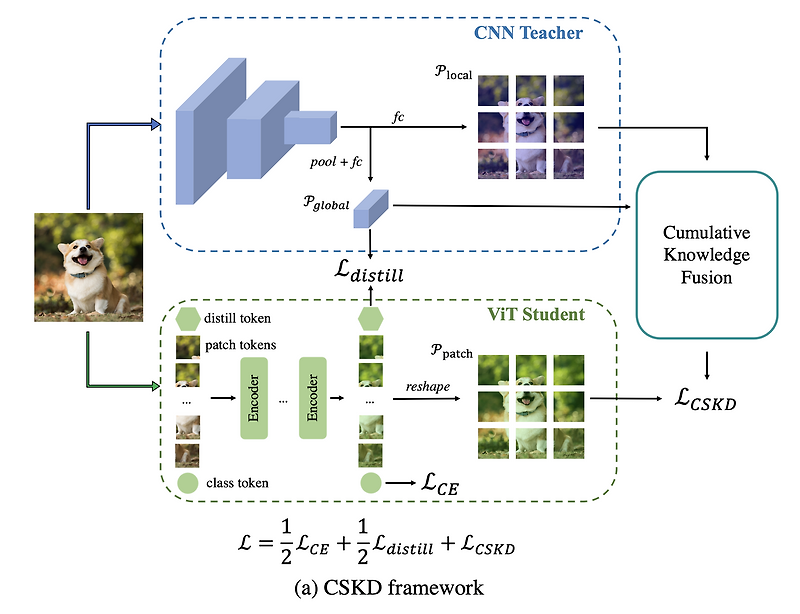 Cumulative Spatial Knowledge Distillation for Vision Transformer
