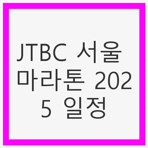 JTBC 서울 마라톤 2025 일정, 참가 준비를 위한 모든 것