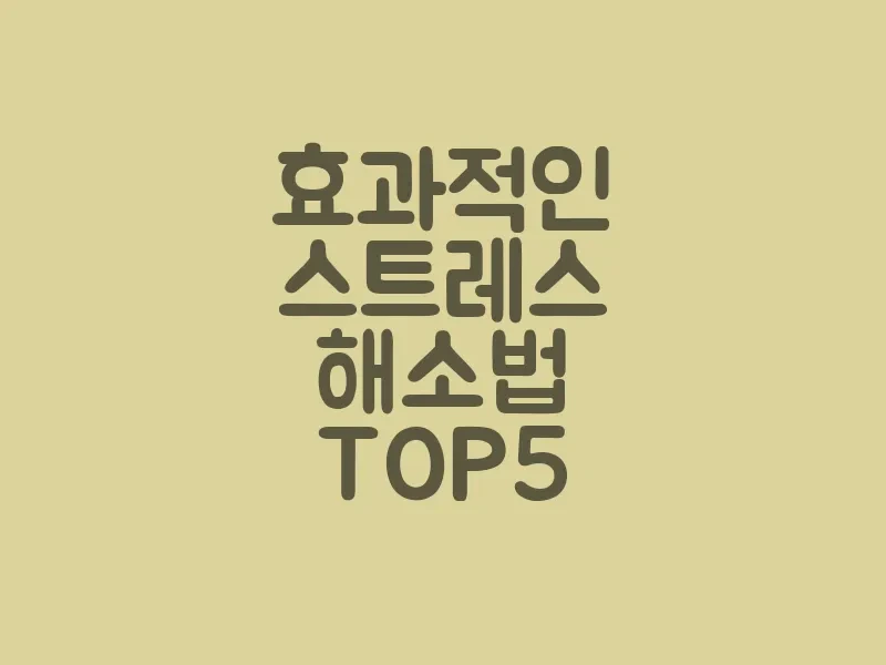효과적인 스트레스 해소법 Top 5