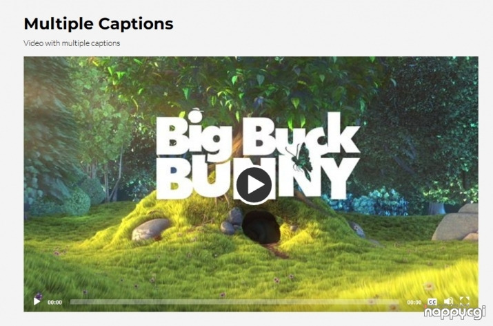 [해피CGI][cgimall] HTML5 Video and Audio Player Plugin - MediaElement.js