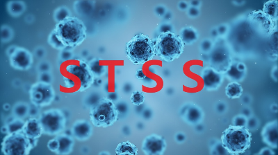 연쇄상구균독성쇼크증후군(STSS) 일본 유행병, 바이러스, 감염 증상, 화농균, 원인, 감염 경로 등 핵심 정보