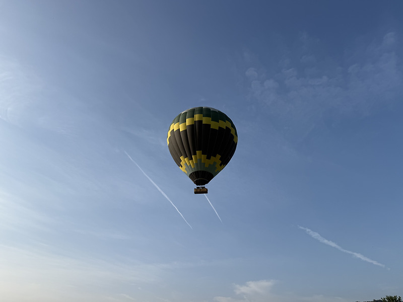파크골프의 매력과 새로운 이야기: 기본부터 경기장까지 한 번에!