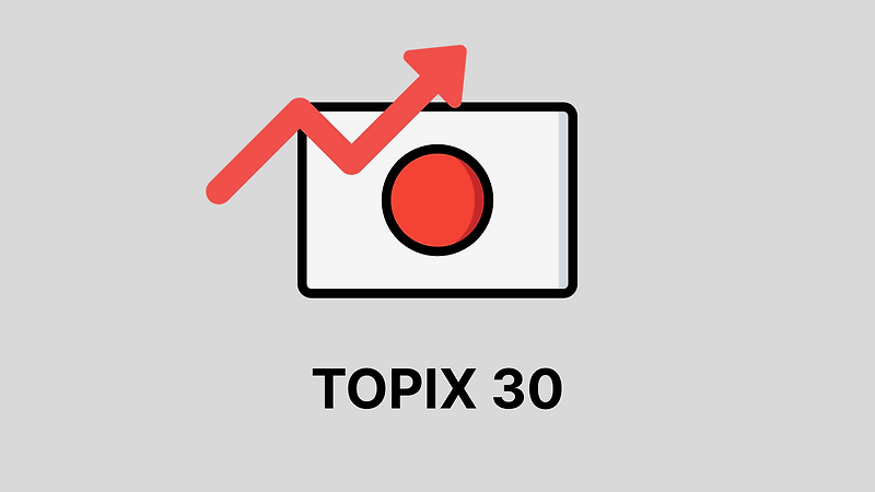 Topix 30 소개, 구성 종목, 투자 방법