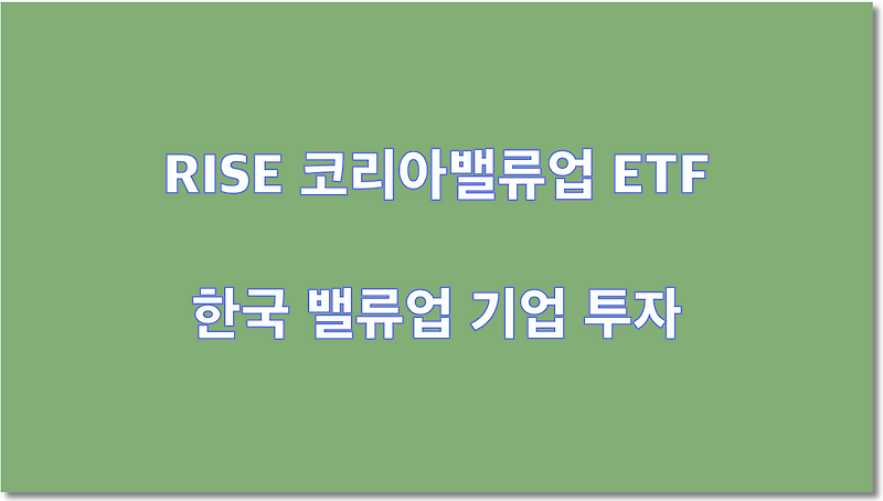 RISE 코리아밸류업 ETF - 한국 밸류업 기업 투자