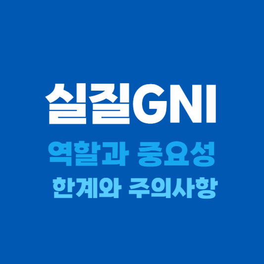 실질GNI 역할, 구성요소, 중요성, 한계와 주의사항(구매력으로 측정)