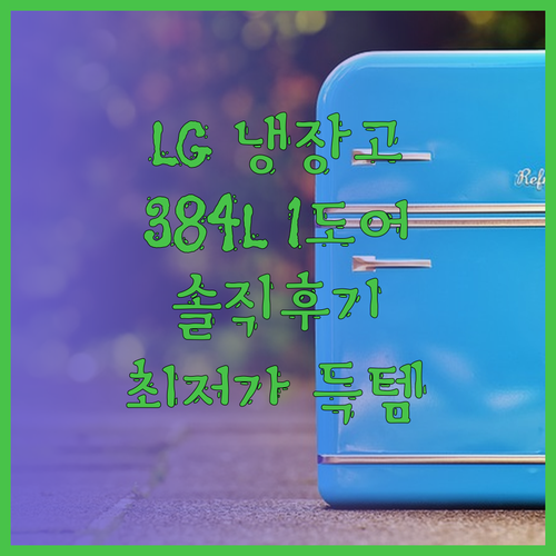 LG 냉장고 384L 1도어? 솔직 후기와 쿠팡 최저가 득템 비법!
