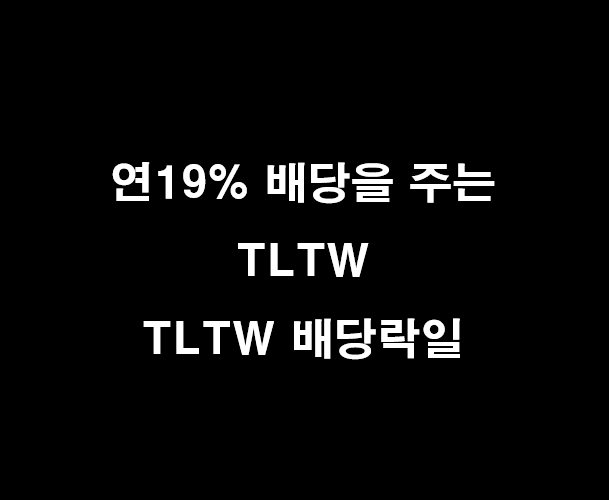 연19% 배당을 주는 TLTW 그리고 TLTW 배당락일은 언제인가? :: 재밌는 경제 이야기