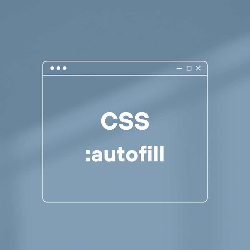 [CSS] :autofill - input 자동완성 스타일 제어하기