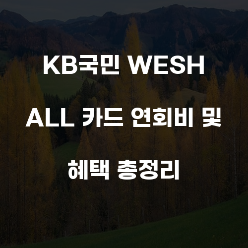KB국민 WESH ALL 카드 연회비 및 혜택 총정리