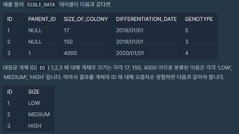 [프로그래머스] 장균의 크기에 따라 분류하기 1 (MySQL, Level.3)