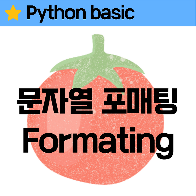 [python] 문자열 포매팅