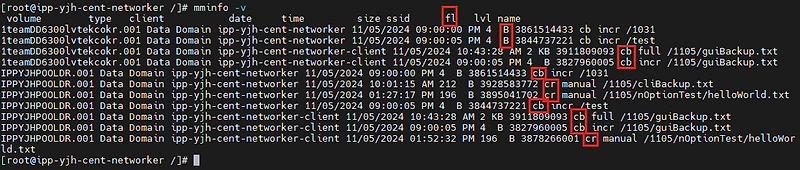 Dell EMC Networker 명령어 - #mminfo