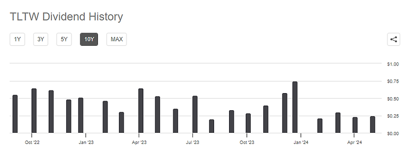 TLTW ETF 알아보기