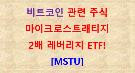 미국 마이크로스트래티지(MSTR) 2배 ETF [MSTU]를 알아보자!