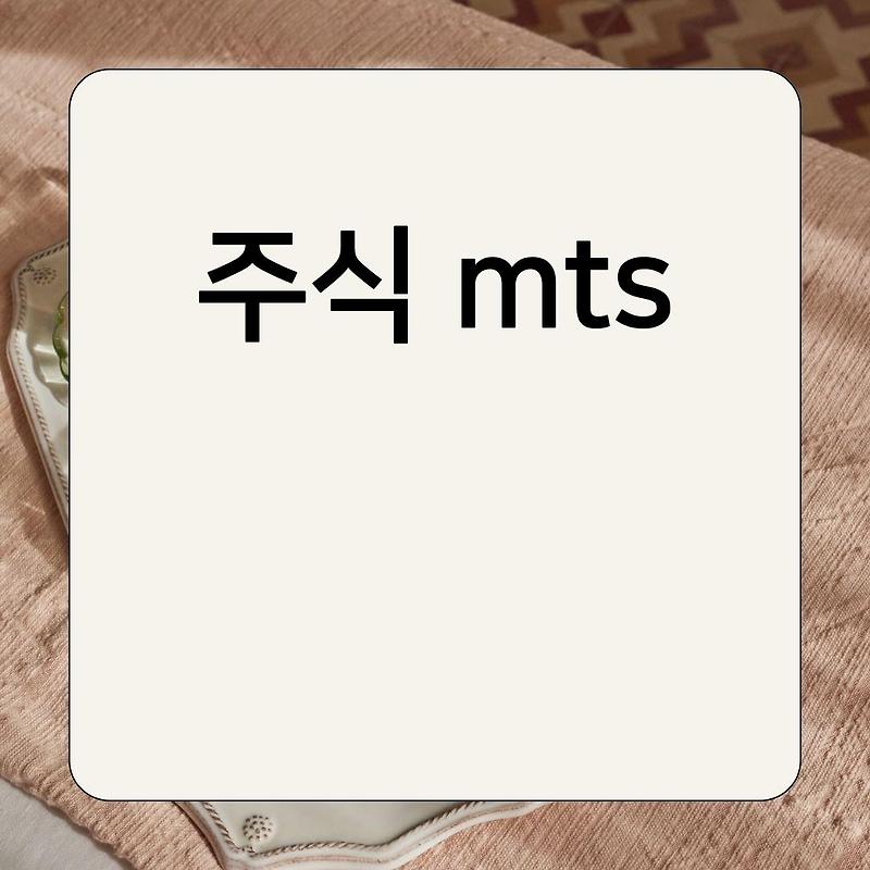 MTS뜻 mts주기 hts뜻 주식mts