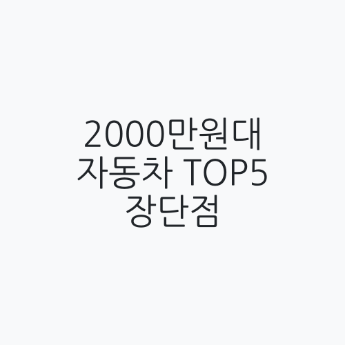 2000만원대 자동차 TOP5 장단점