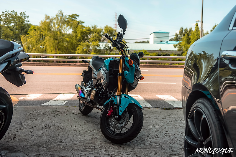 [MSX125] HONDA MSX125 구입!!