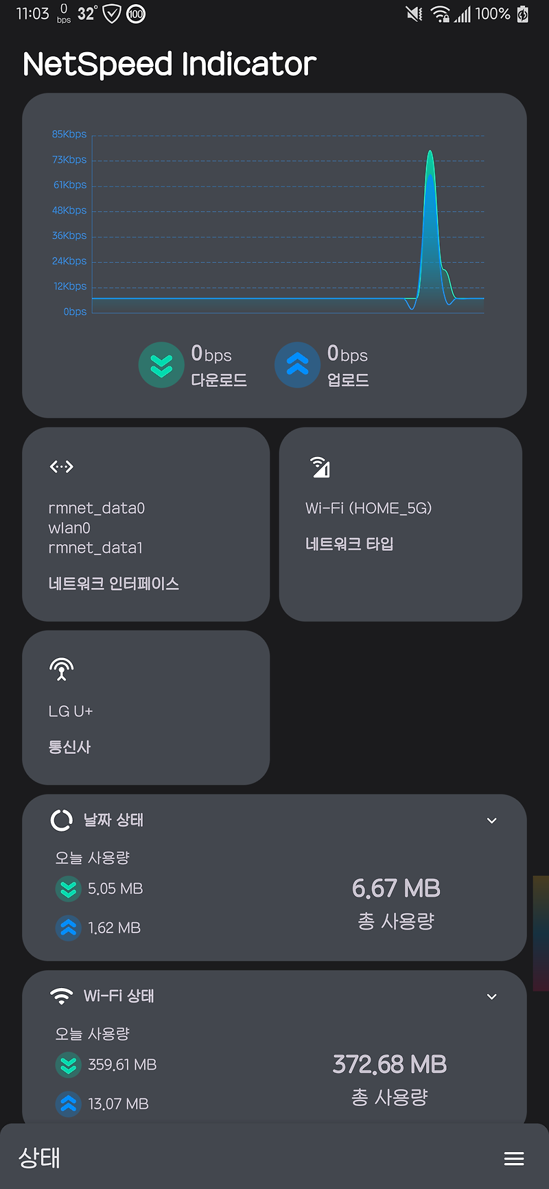 NetSpeed Indicator(NSI) / 인터넷 사용량 측정