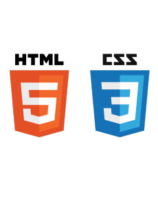 [HTML & CSS] 컨테이닝 블록의 모든 것
