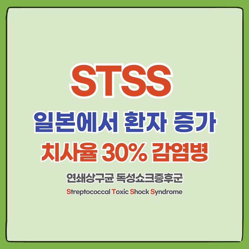 STSS (독성쇼크증후군) 일본 치사율 30% 감염병 확산