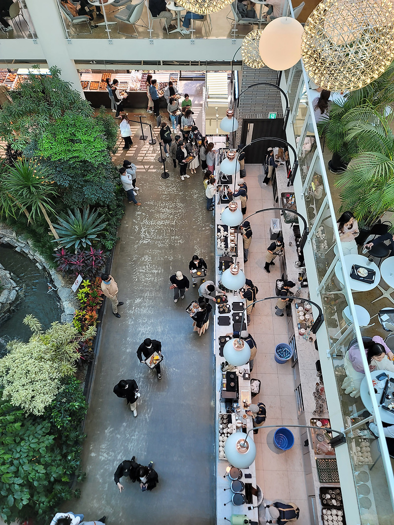 송도 Forest outings