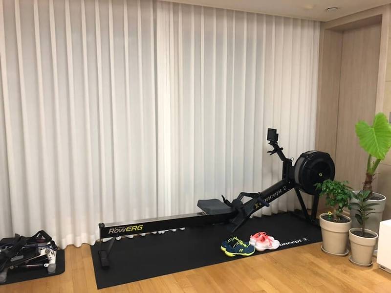 로잉머신 컨셉2 concept2 Row Erg 크로스핏 전신 다이어트 운동 효과