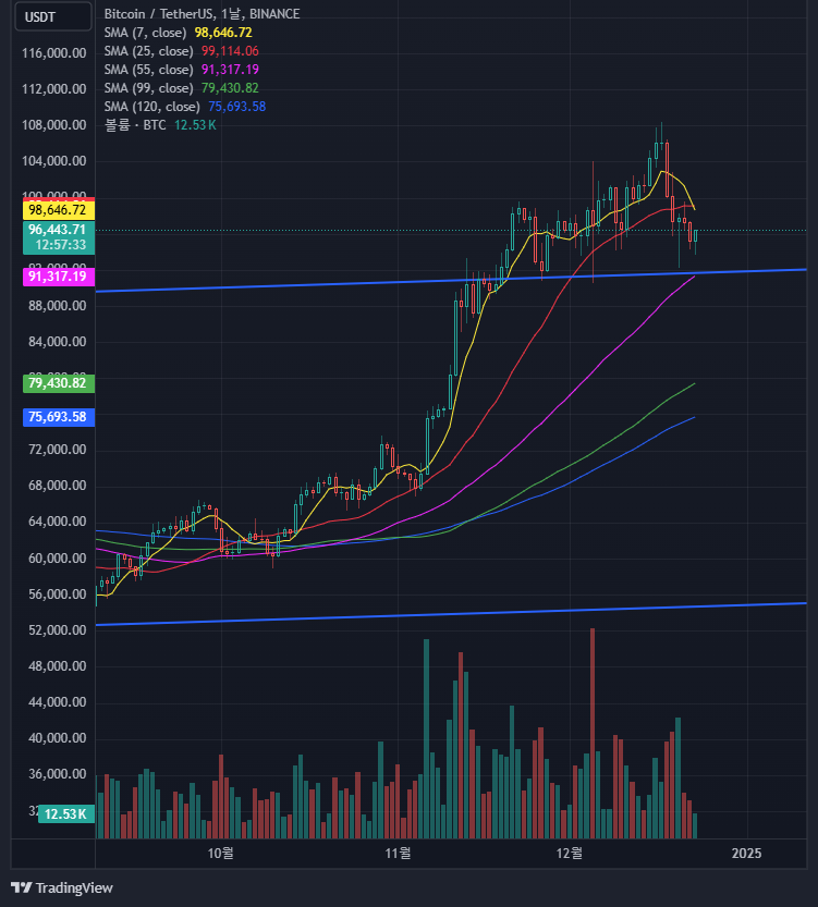 24년 12월 23일 시황