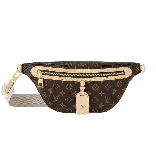 루이비통 하이 라이즈 백 (LOUIS VUITTON HIGH RISE BAG)