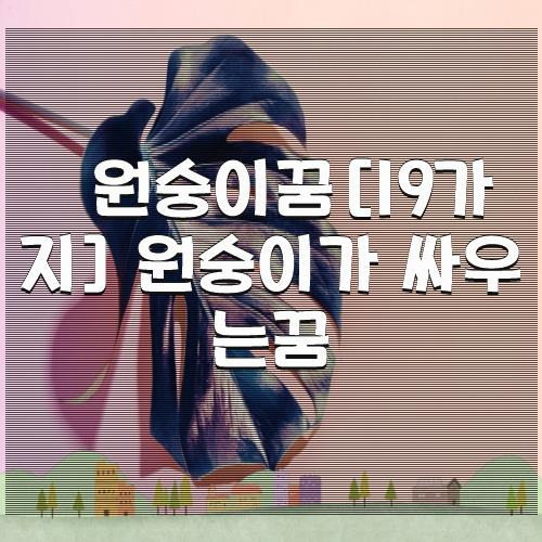 원숭이꿈[19가지] 원숭이가 싸우는꿈