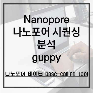Nanopore 나노포어 시퀀싱 데이터 base-calling 소프트웨어, fast5 데이터 fastq로 변환하기
