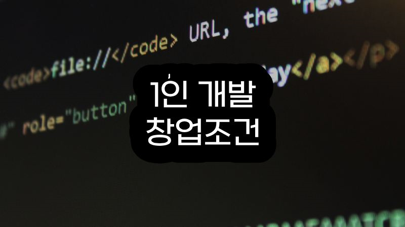 1인개발에 대하여
