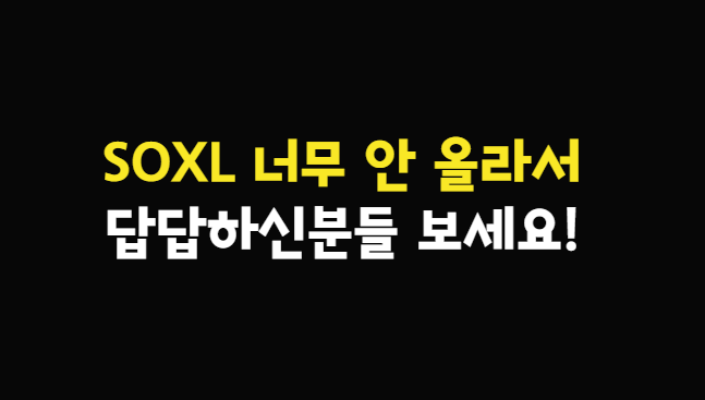 엔비디아, AI 혁명의 중심에 서다? 젠슨 황의 비전과 나의 SOXL 투자 전략은?