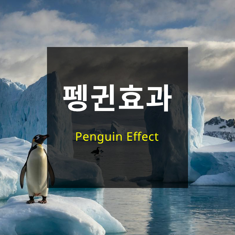 [심리용어] 펭귄 효과(Penguin Effect)란 무엇일까요?