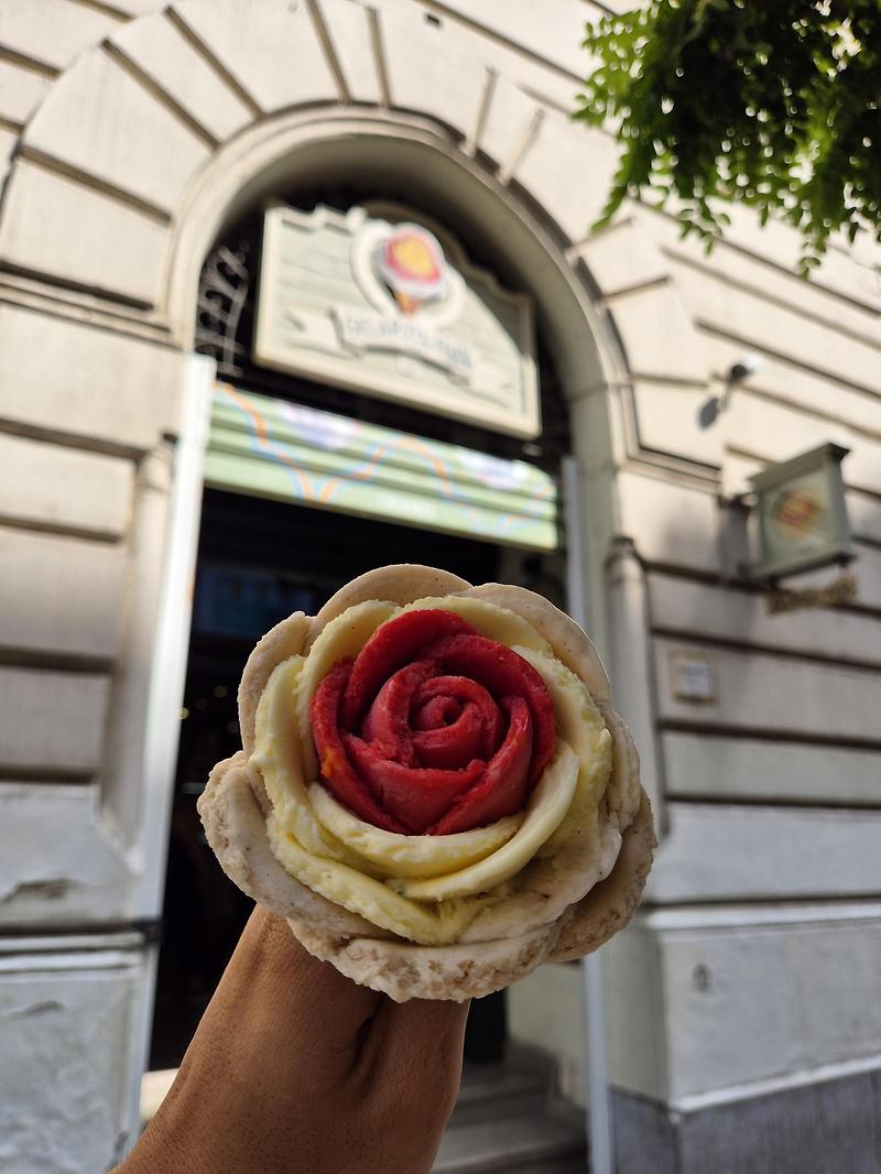 [맛집 정보] 헝가리 부다페스트 장미꽃 아이스크림 맛집 - 젤라또 로사 GELARTO ROSA