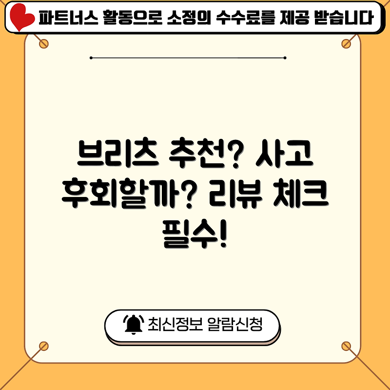 브리츠 bz-v990s, 정말 괜찮은 선택일까요?