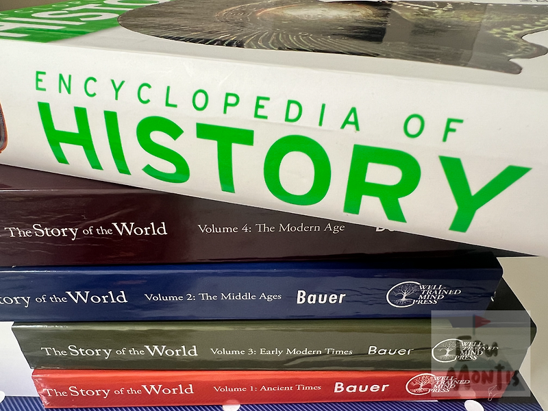 History 원서 추천- 여름방학 미국보딩스쿨/국제학교 중고등부 대비 교재