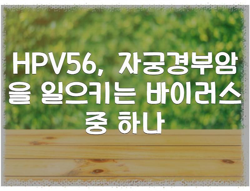 HPV56, 자궁경부암을 일으키는 바이러스 중 하나