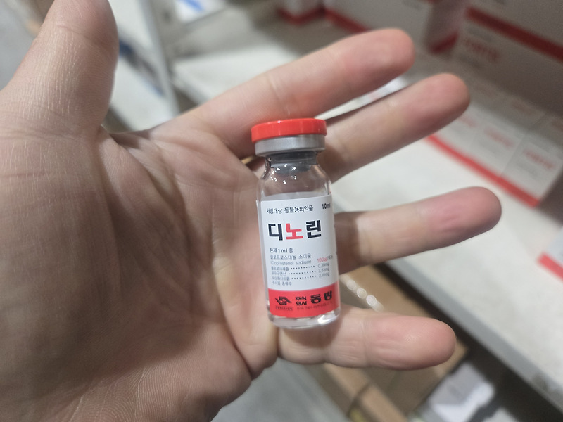 소의 분만 유도 및 돼지 유즙분비 촉진제 DINORIN 디노린