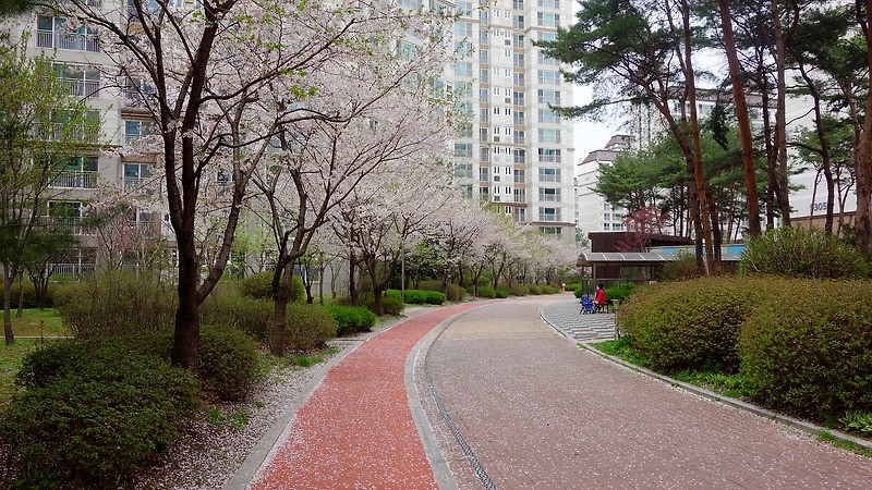 도선사 덕릉고개, 우이천 방학천 한바퀴
