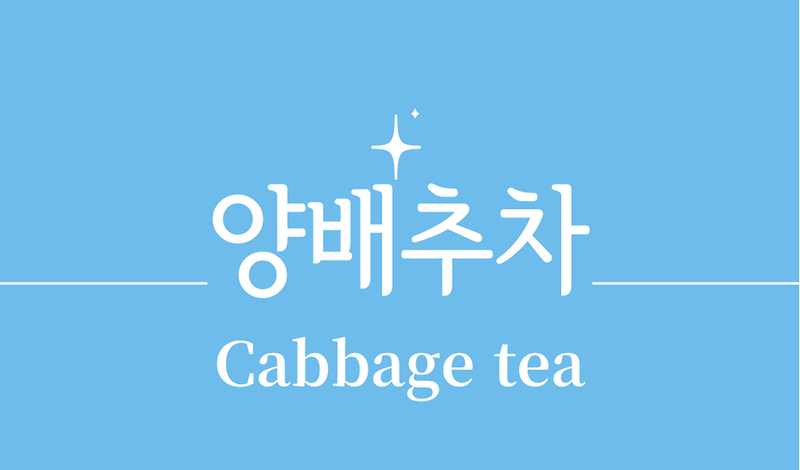 '양배추차(Cabbage tea)'효능,효과,권장 섭취량,부작용