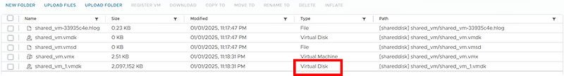 RDM disks are seen as "File" type in vCenter UI.