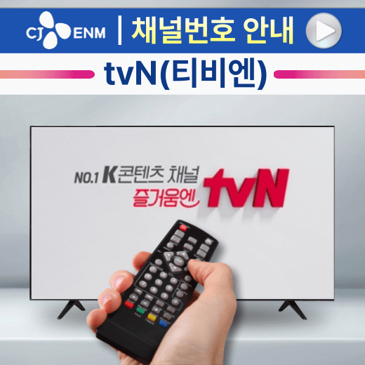 tvN(티비엔) 채널번호 안내 | IPTV, 지역 케이블 TV