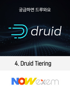 궁금하면 드루와요 | Druid Tiering