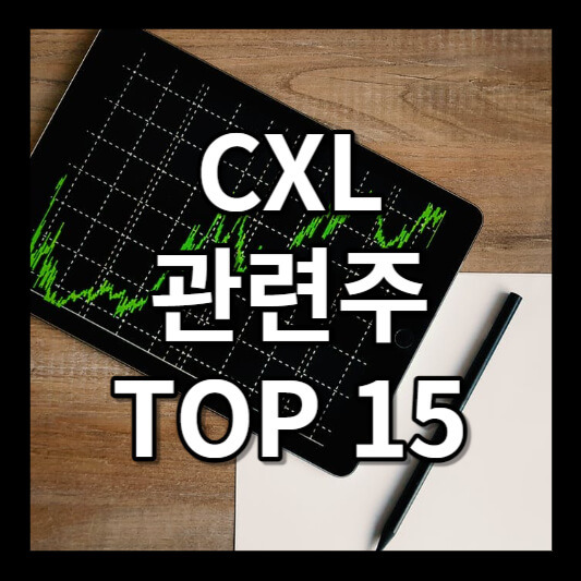 CXL 관련주 테마주 정리 TOP15 :: 도리의 주식 탐구생활