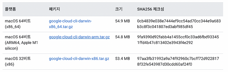 MAC에서 쿠버네티스 in GCP 접근하기