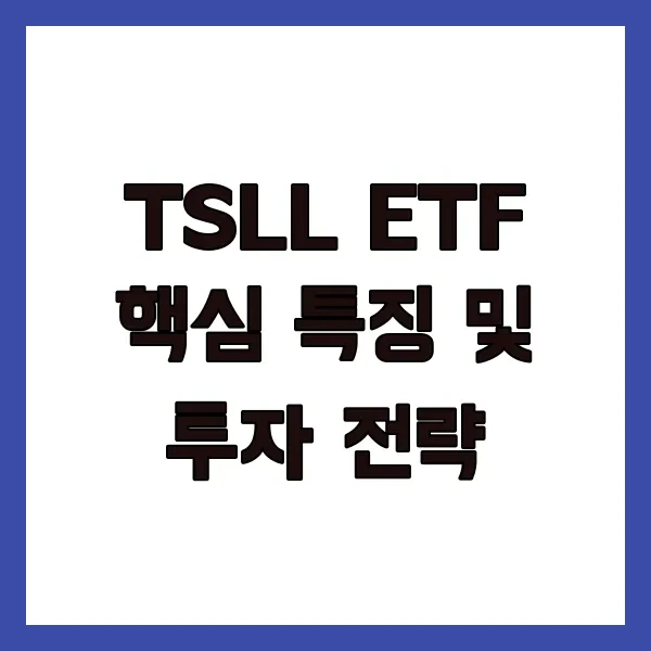 TSLL ETF 핵심 특징 및 투자 전략