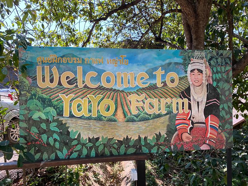 [치앙라이] 야요팜(YAYO FARM)